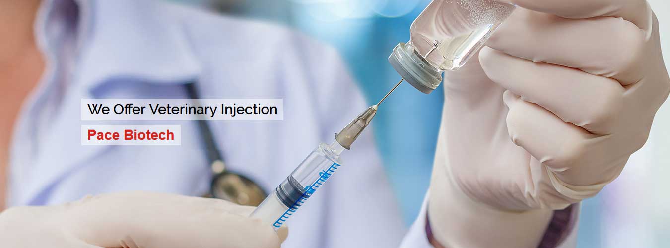 Pace Biotech: Pharmaceutical Injectables Manufacturers in India, Pharma ...
