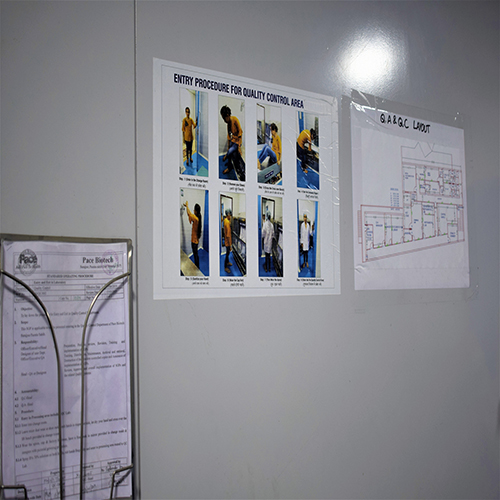 Lab Section - Pacebiotech