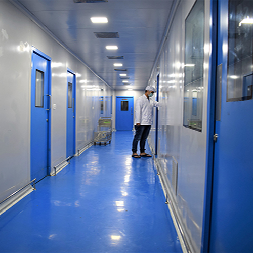 GENERAL AMPOULE FORMULATIONS BLOCK - Pacebiotech